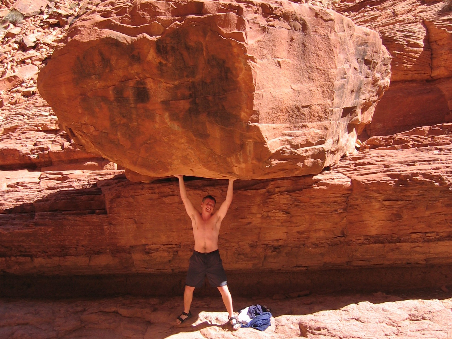 TLOM is Back - The Life of Mike